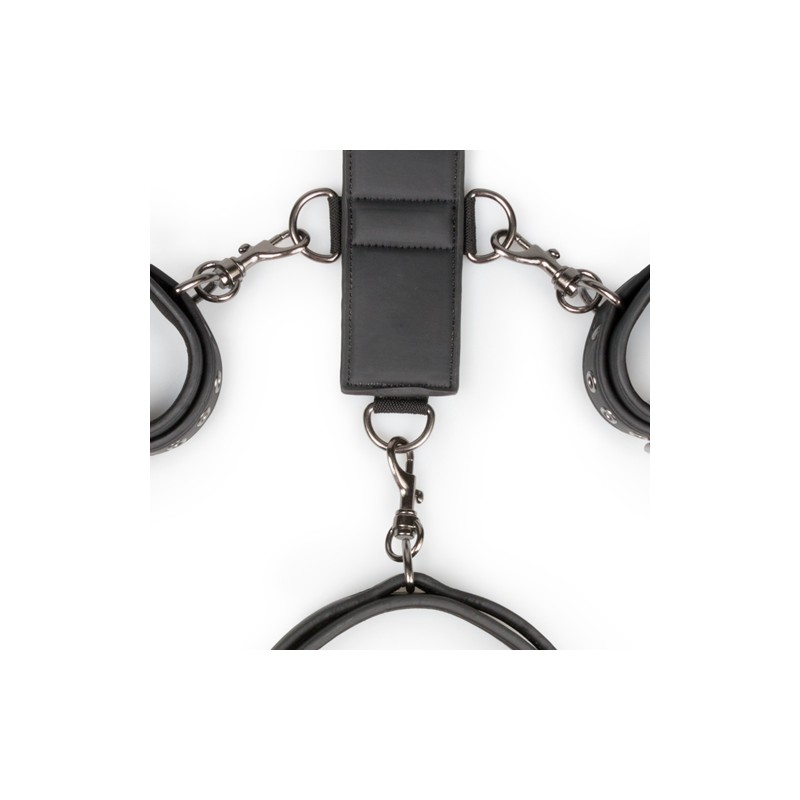 Neck and Wrist Restraint